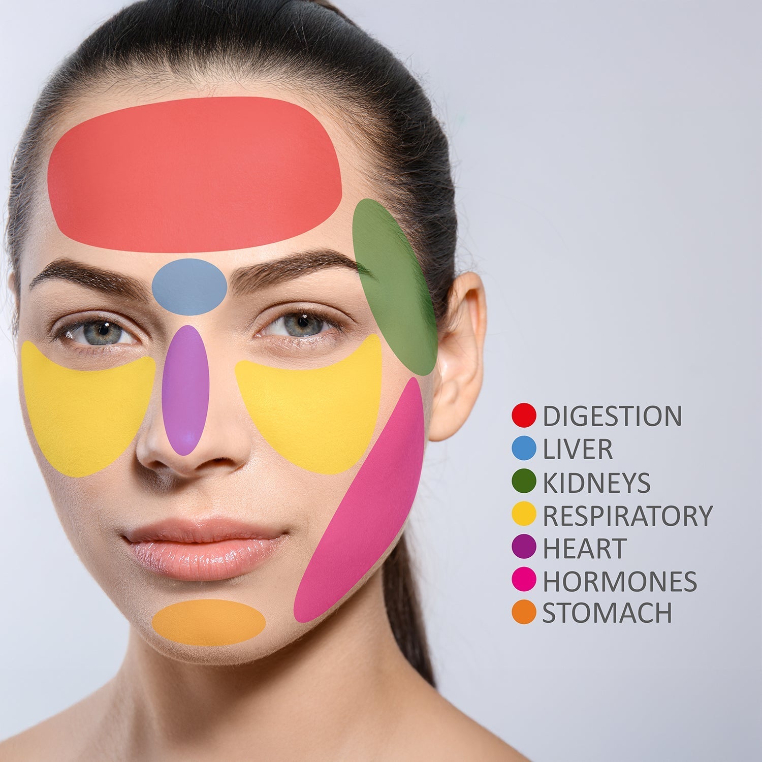 The Science Behind Face Mapping – Pimple Lab®